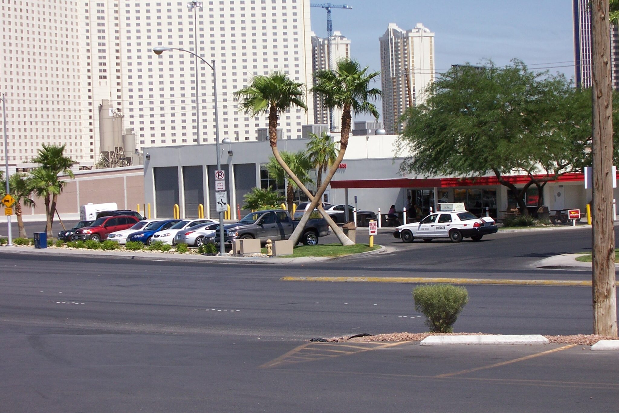 In and out burger palm trees — These are The Voyages
